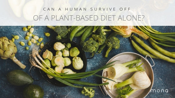 Can humans survive on plant based diet?