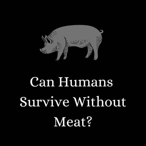 Can humans survive without animal meat?
