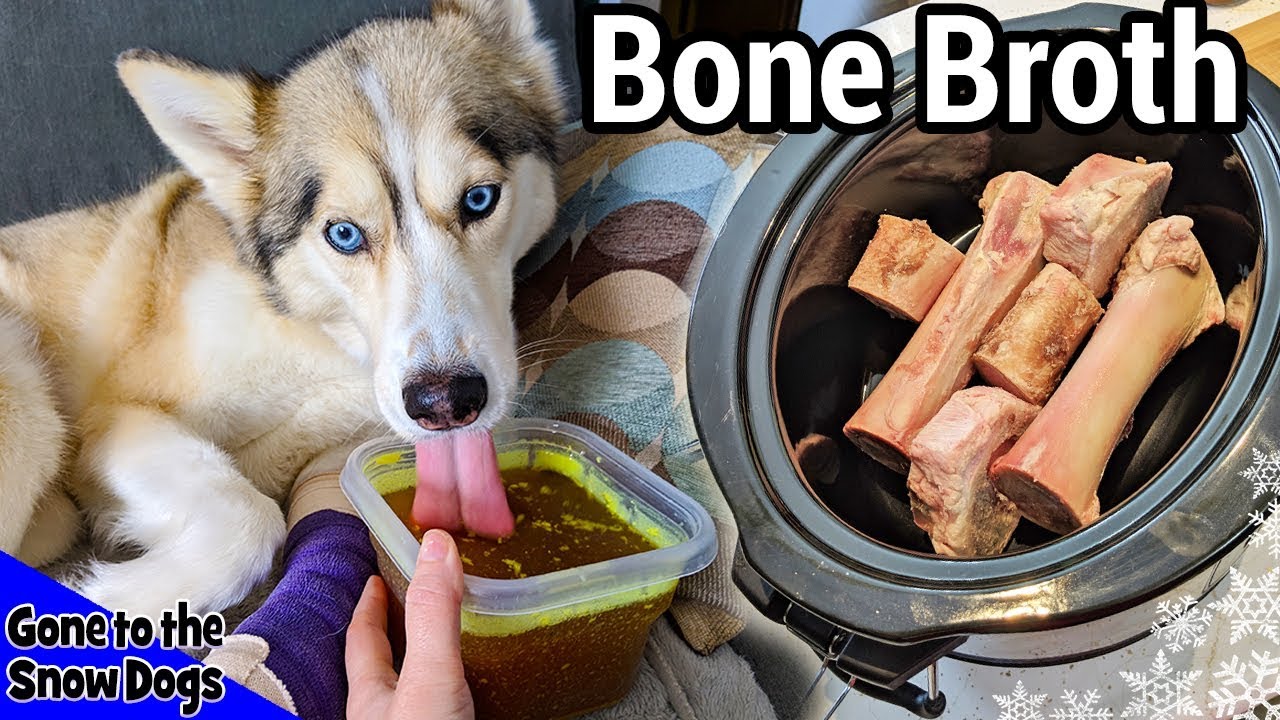Can I add beef broth to my dogs food?