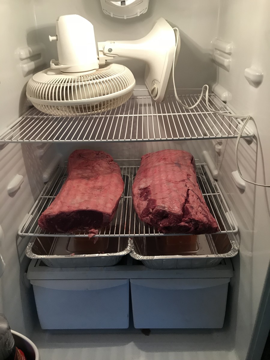 Can I age meat in my fridge?