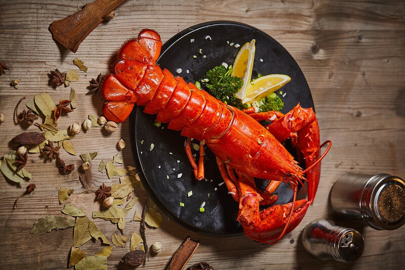 Can I catch lobster in Nova Scotia?
