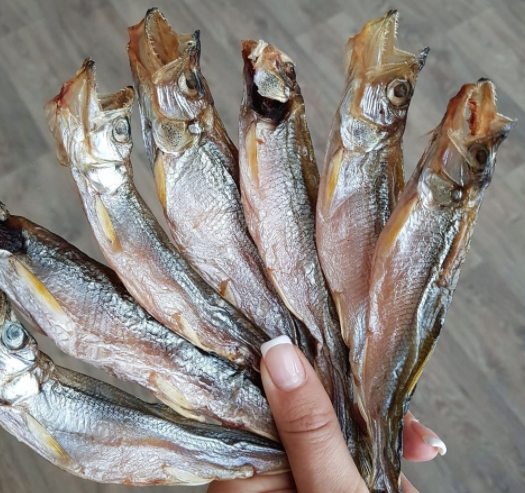 Can I dry fish in food dehydrator?