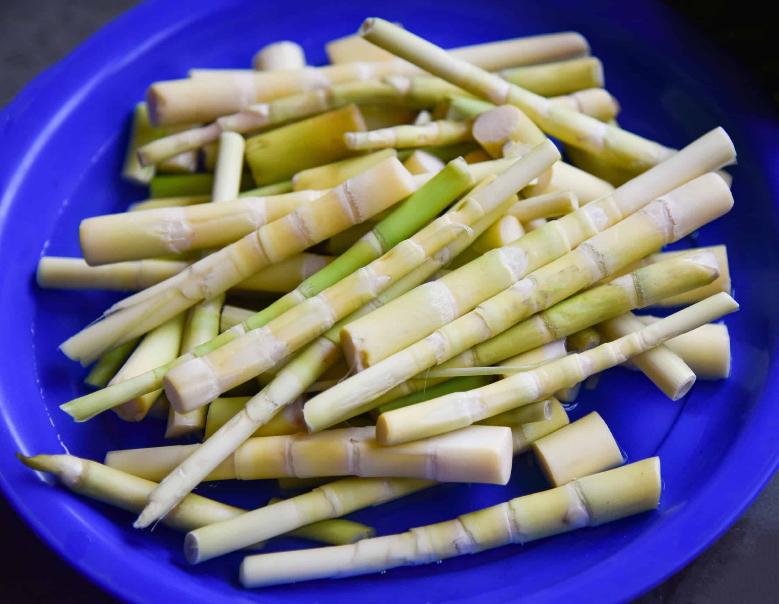 Can I eat bamboo shoots from my garden?