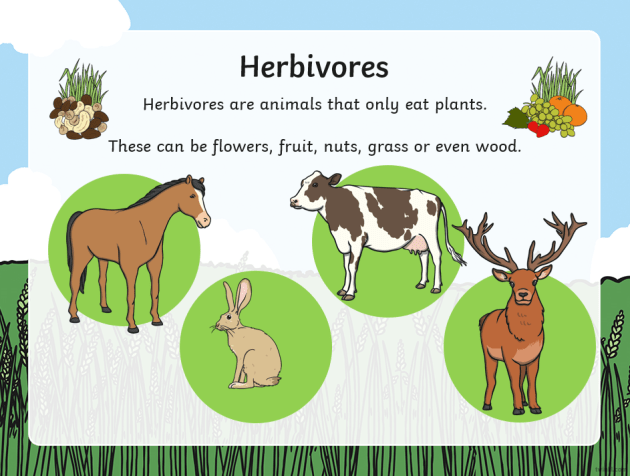 Can I eat Progresso If I am an herbivore?