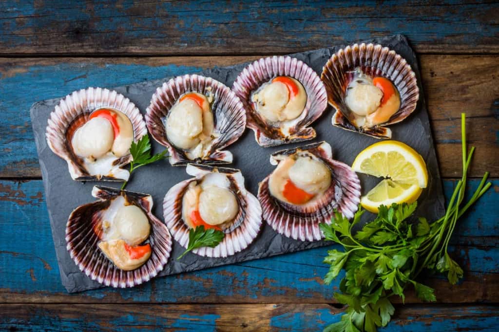 Can I eat scallops everyday?
