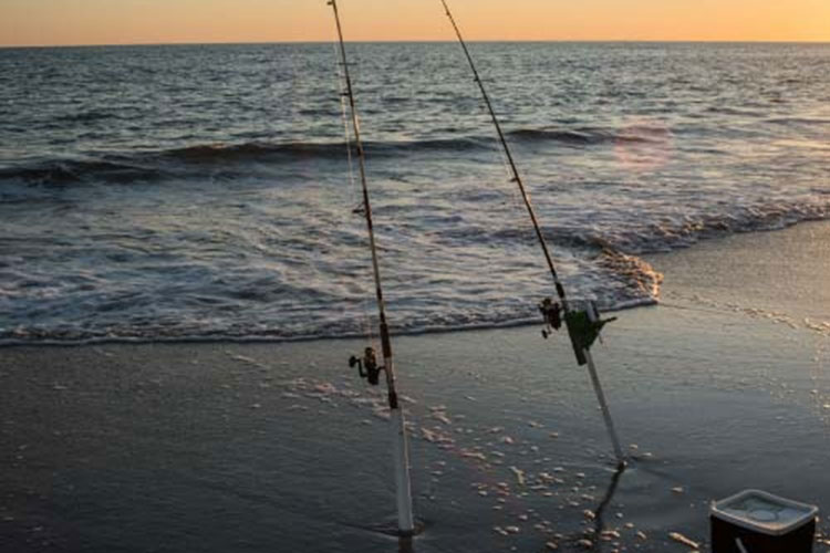 Can I fish at Surf Beach?