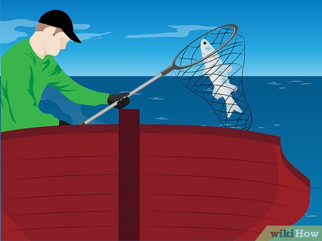 Can I fish with a net?