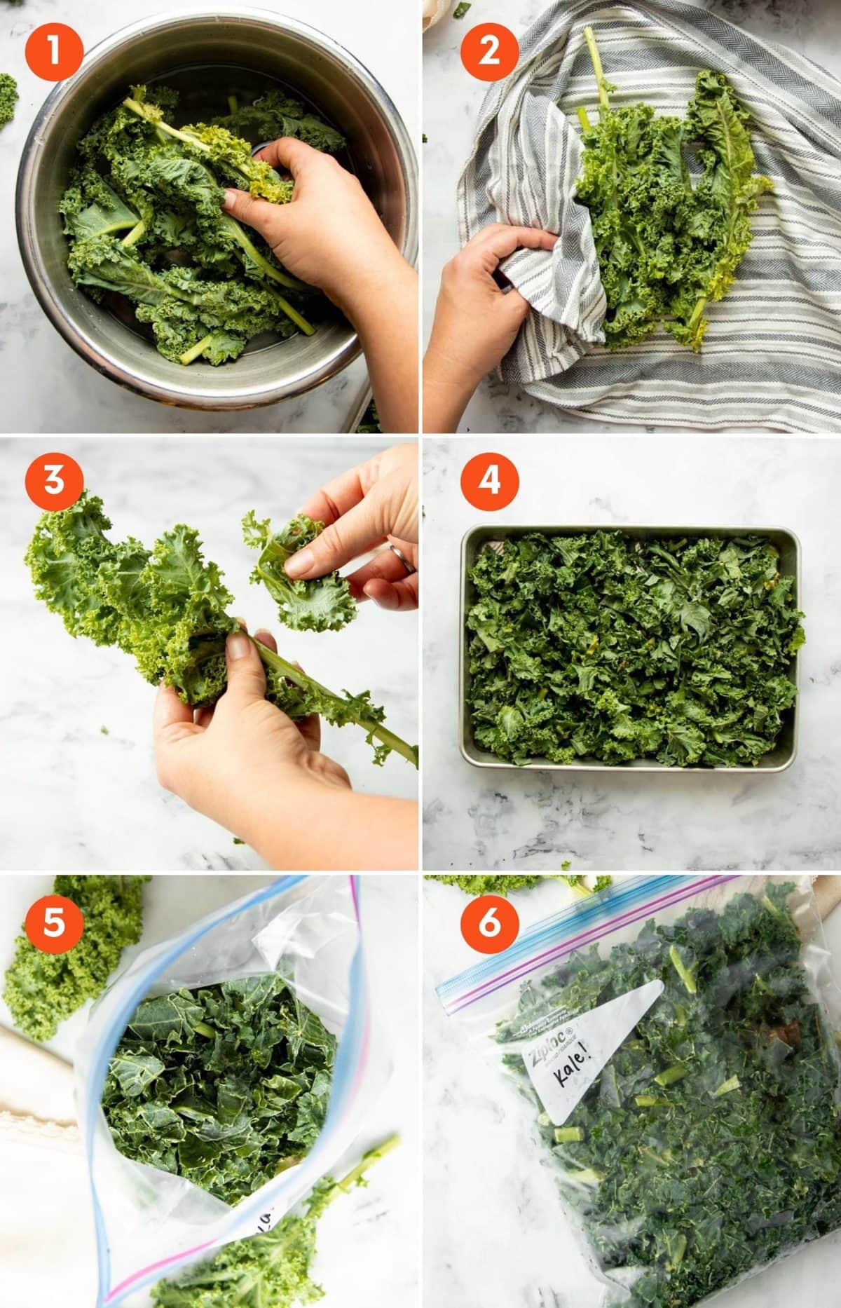 Can I freeze fresh kale?