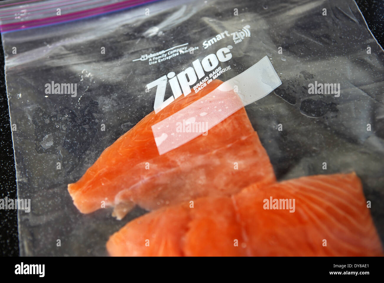 Can I freeze salmon in plastic bag?