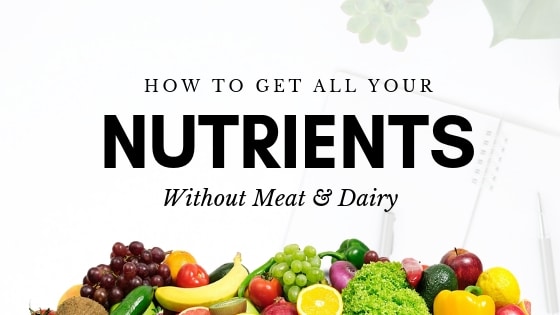Can I get all my nutrients from a vegan diet?