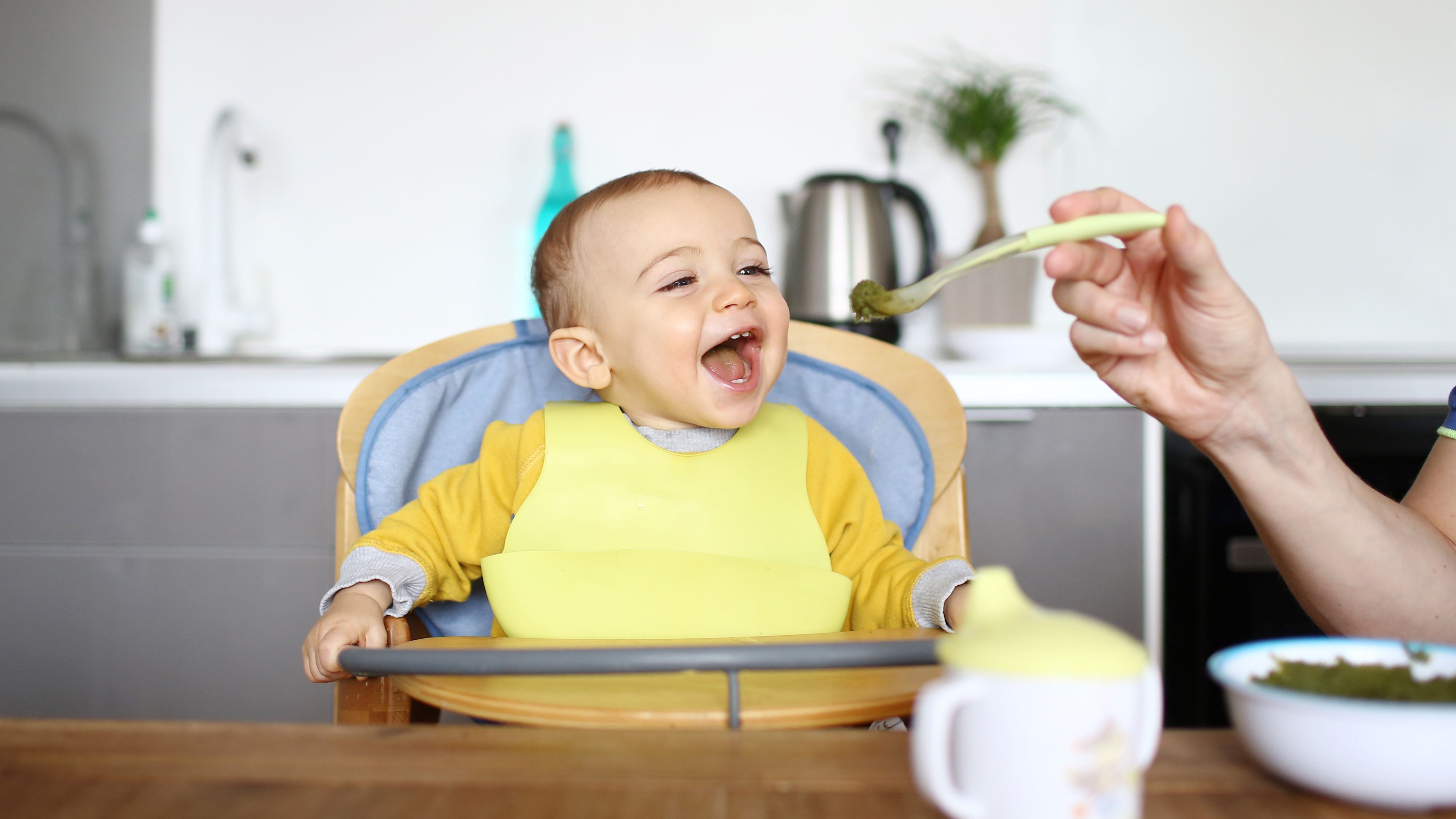 Can I give fish to my 1 year old?