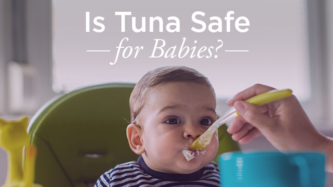Can I give my 6 month old canned tuna?