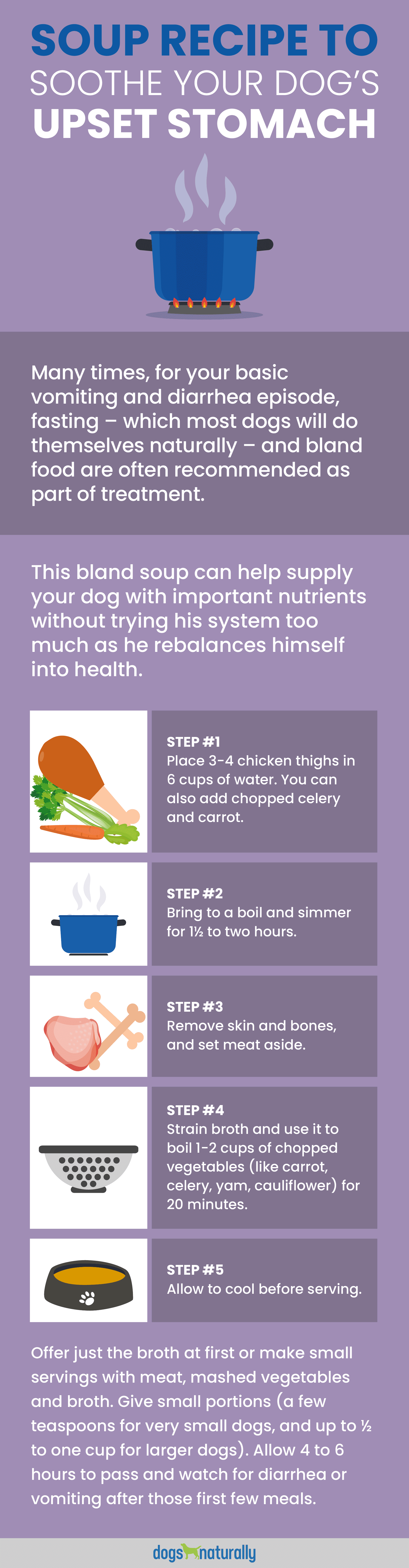 Can I give my Dog beef broth for an upset stomach?
