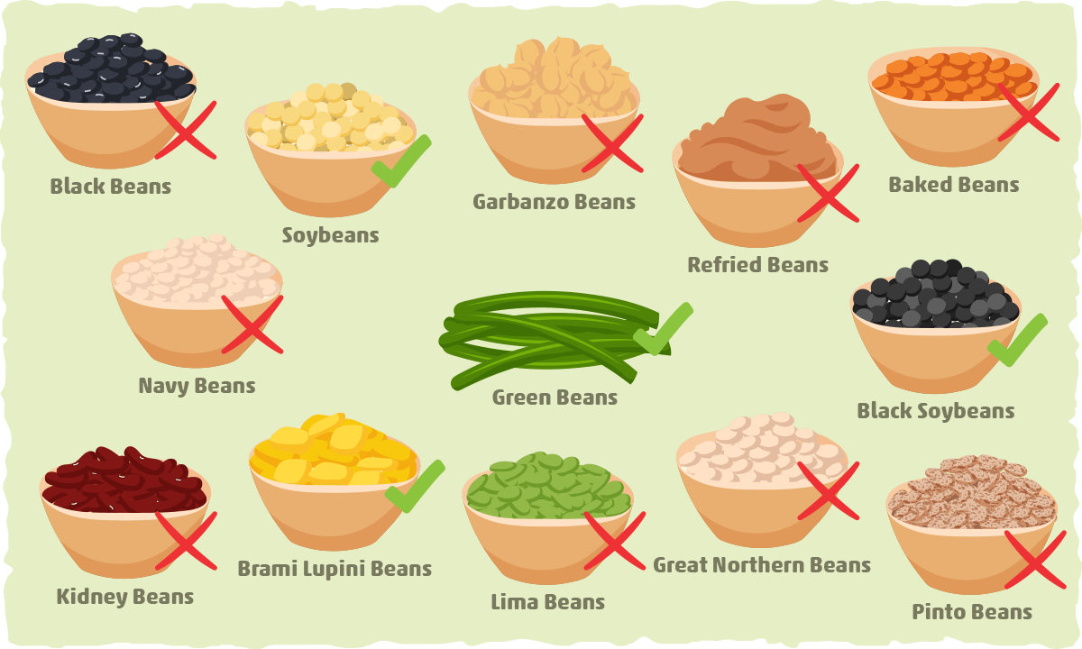 Can I have beans on ketogenic diet?
