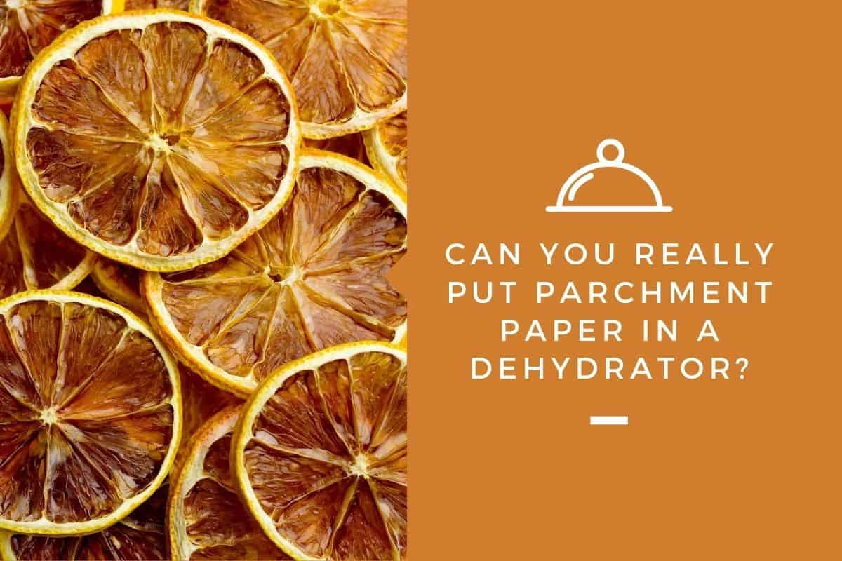 Can I line dehydrator trays with parchment paper?