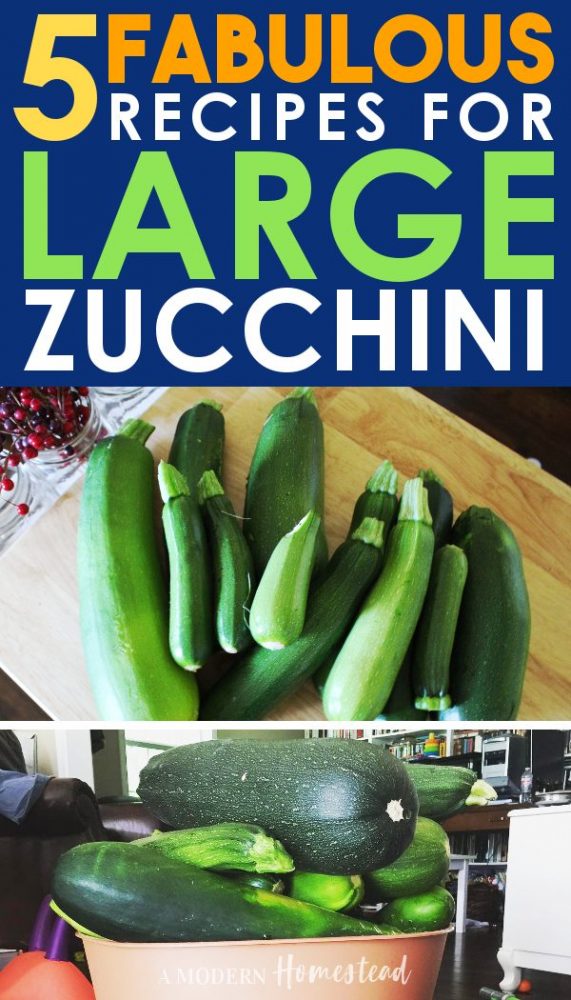 Can I make a recipe with large zucchini instead of small?