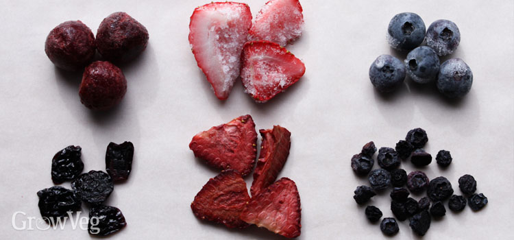 Can I make dried fruit from frozen fruit?