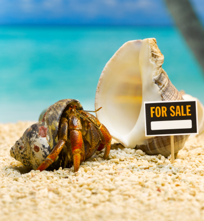Can I make saltwater for my hermit crab?