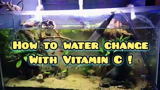 Can I put vitamin C in my fish tank?