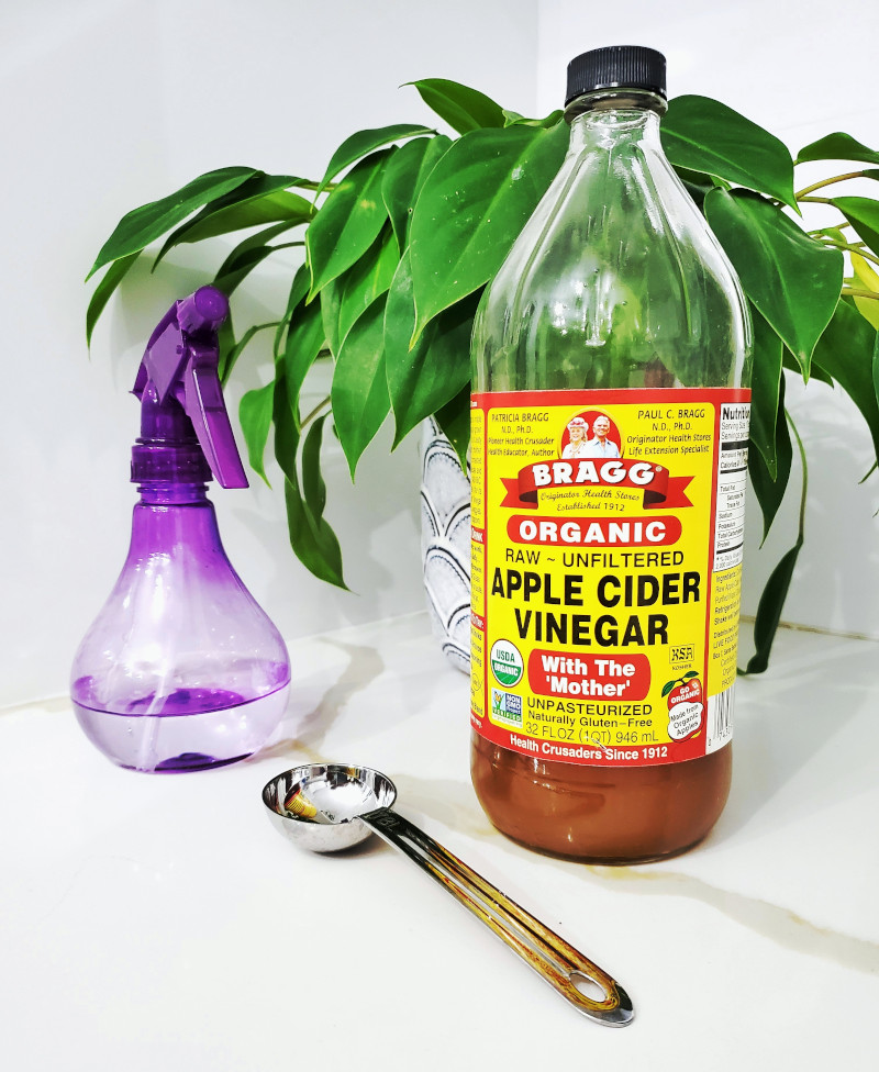 Can I spray vinegar on my plants?