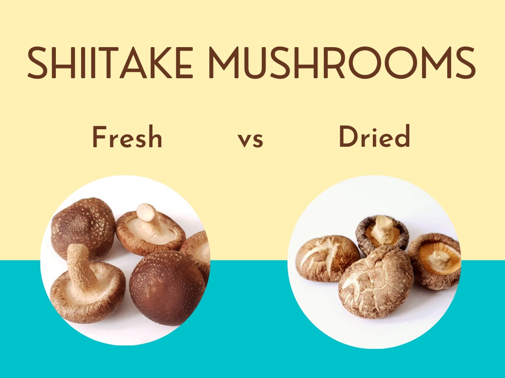 Can I substitute dried shiitake for fresh shiitake?