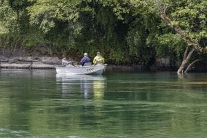 Can I use barbed hooks on the Cowlitz River?