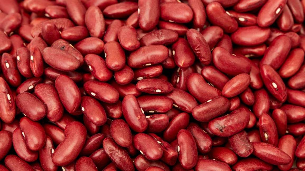 Can kidney patients eat beans?
