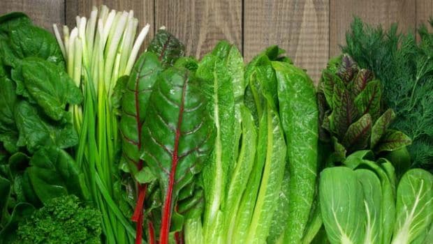 Can kidney patients eat leafy vegetables?