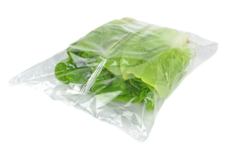 Can mold grow in a vacuum sealed bag?