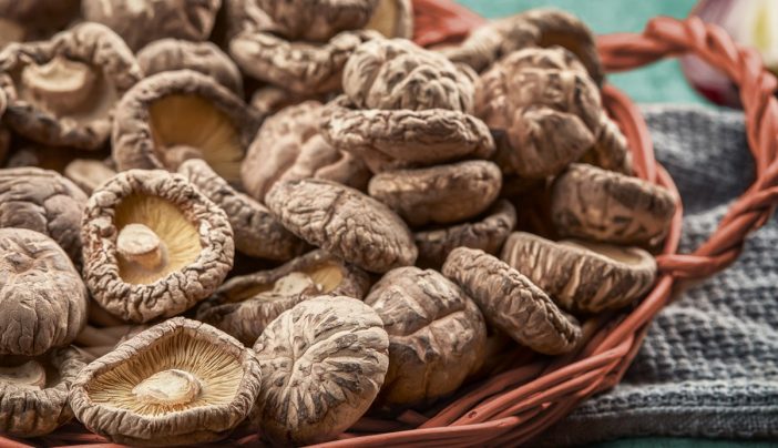 Can mushroom be eaten during chemotherapy?