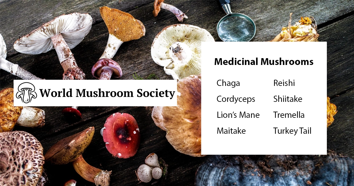 Can mushroom supplements cause liver damage?