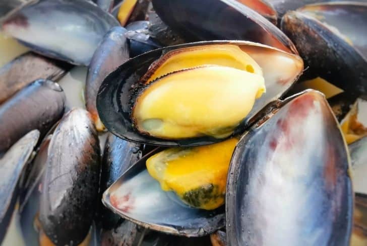 Can mussel shells be used for stock?