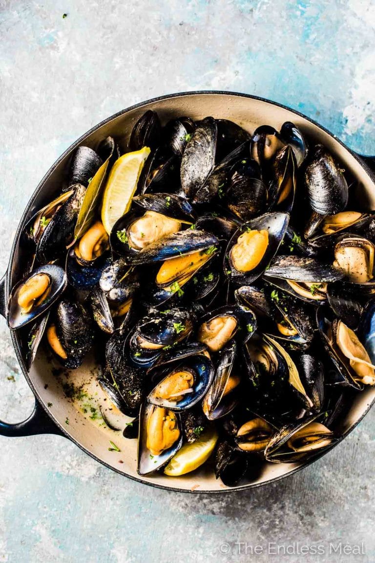 Can mussels sit in water?