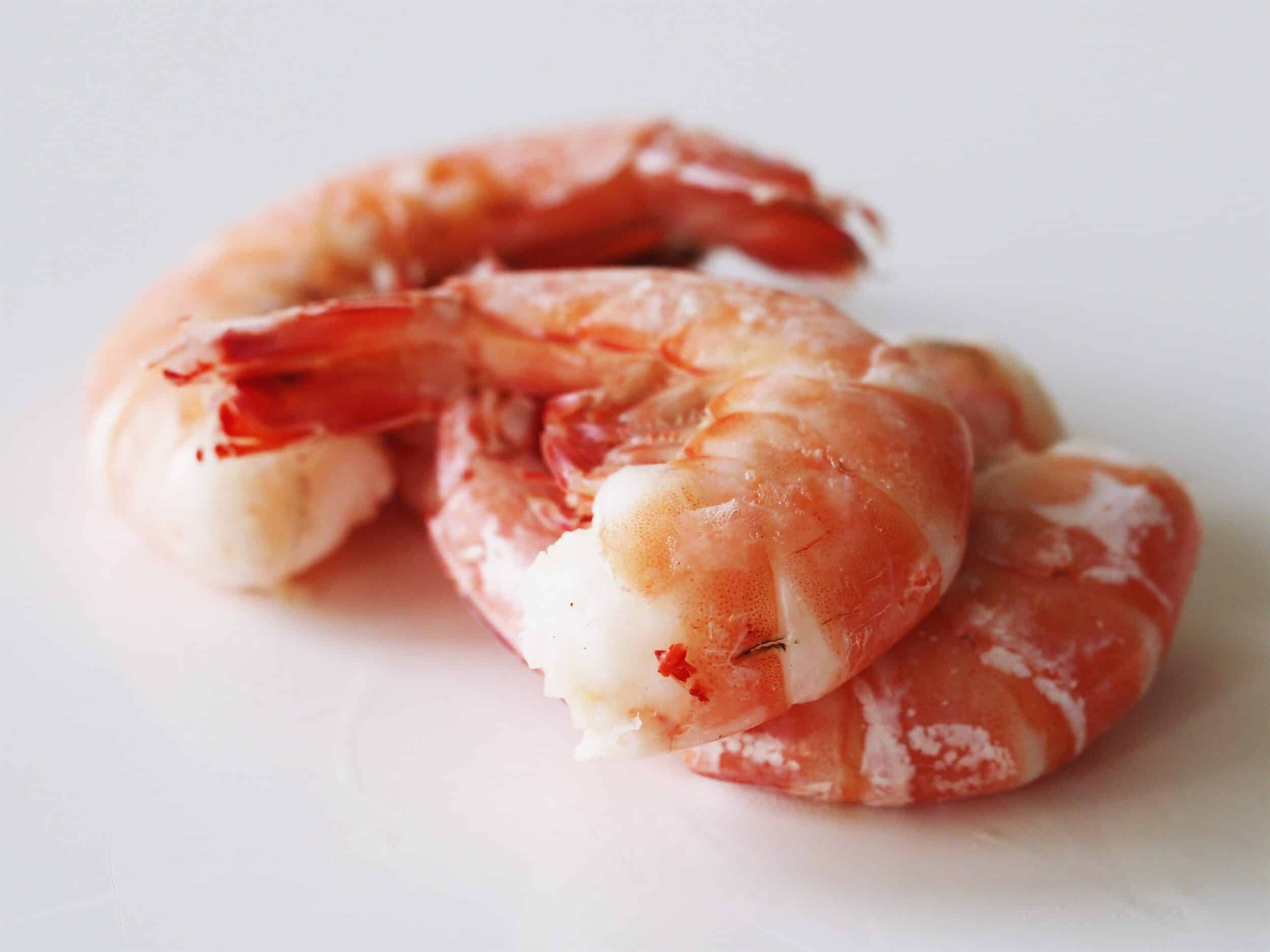 Can my 2 year old eat shrimp?