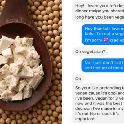 Can non vegans eat tofu?