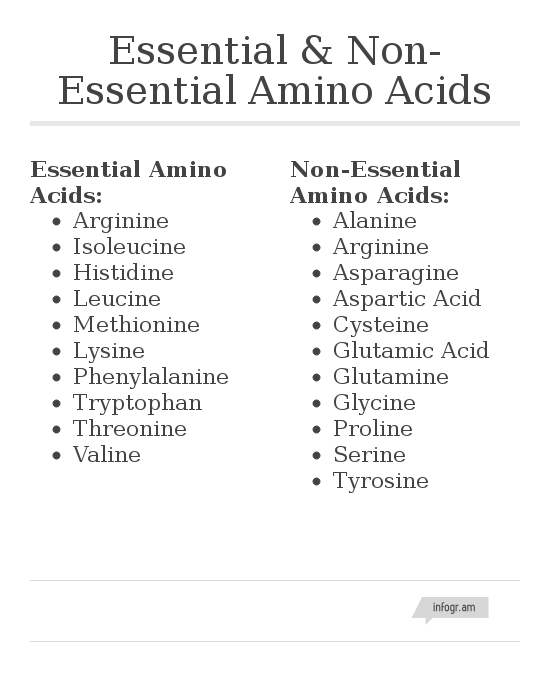 Can our bodies make non essential amino acids?
