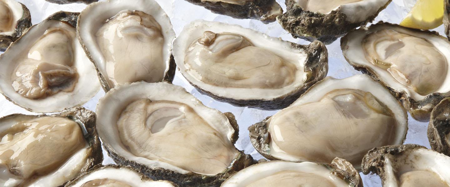 Can oysters on the half shell be frozen?