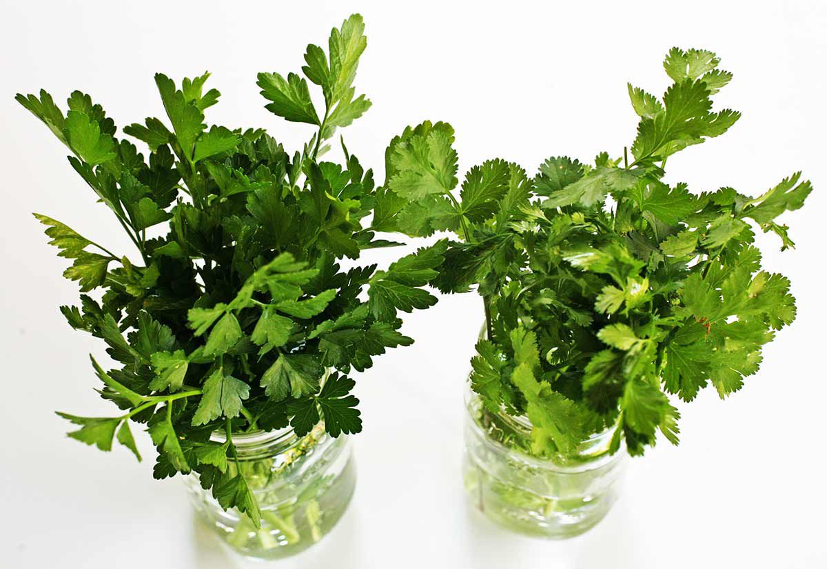 Can parsley stay in room temperature?