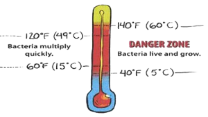 Can pathogenic bacteria survive heat?