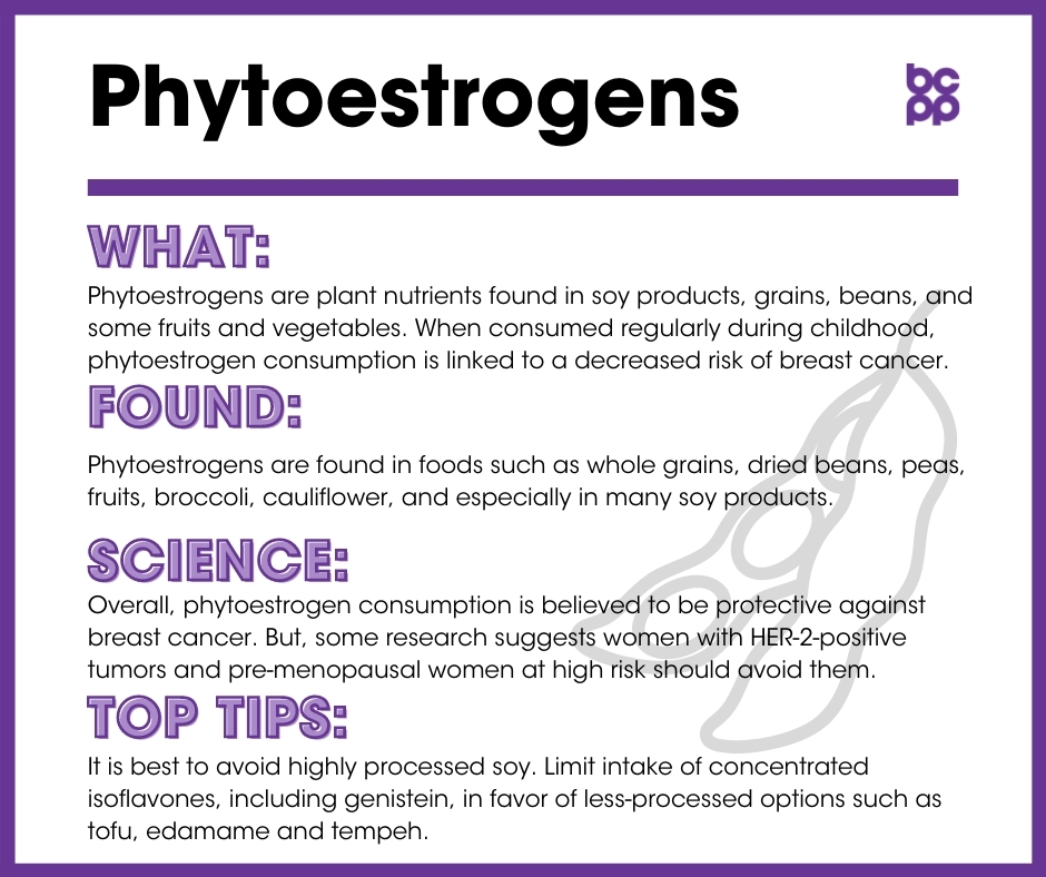 Can phytoestrogens cause breast cancer?