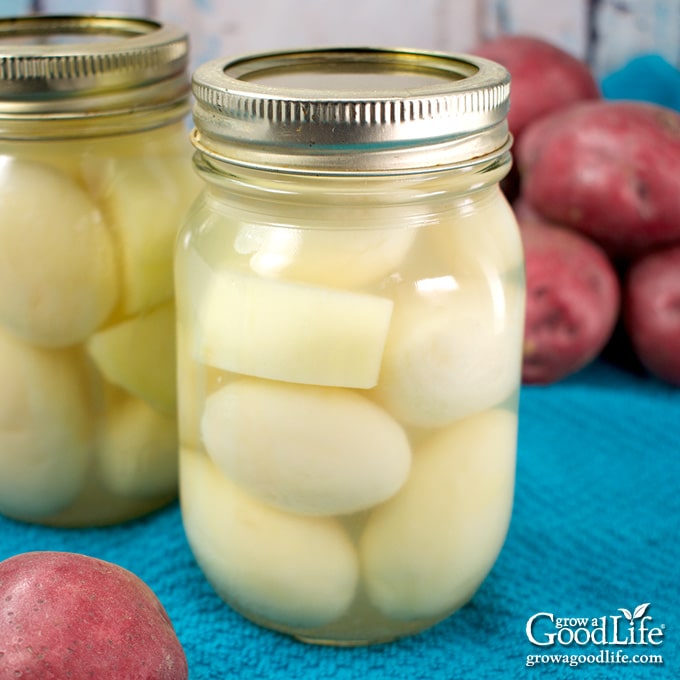 Can potatoes be canned?