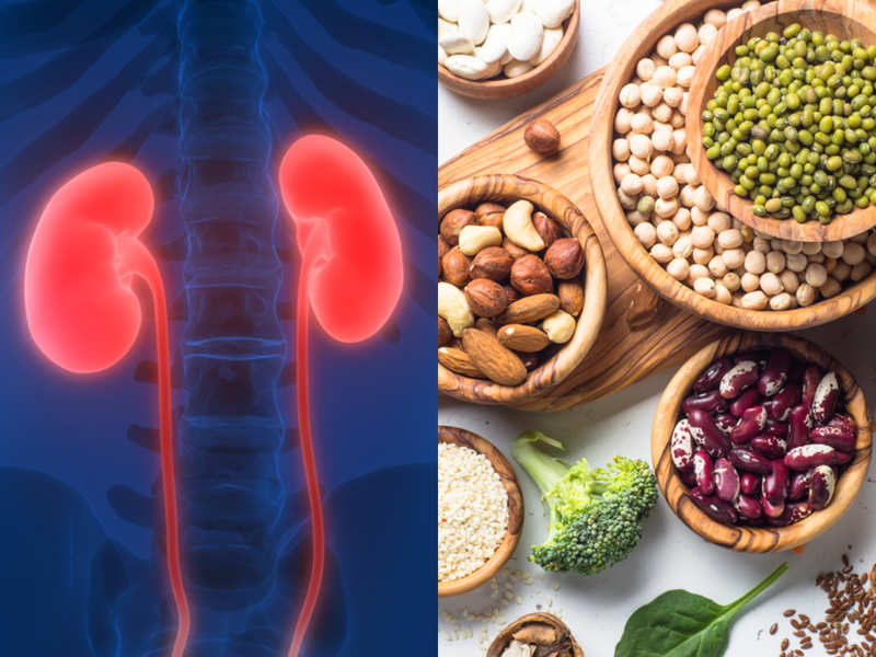 Can protein damage your kidneys?