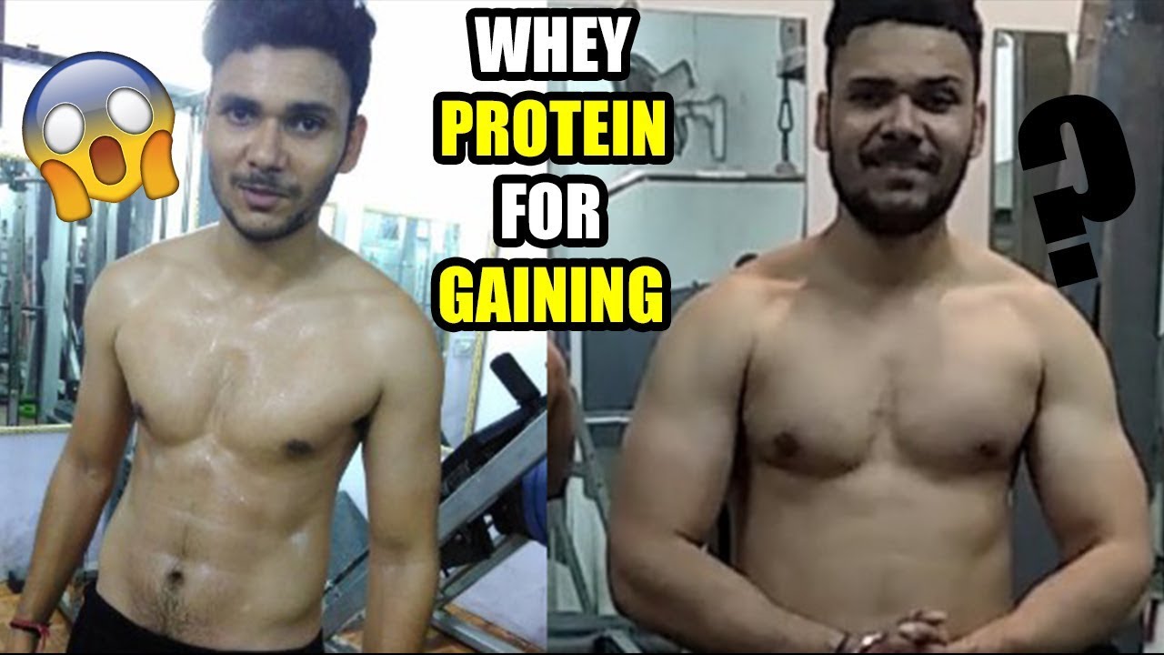 Can protein powder make you fat?