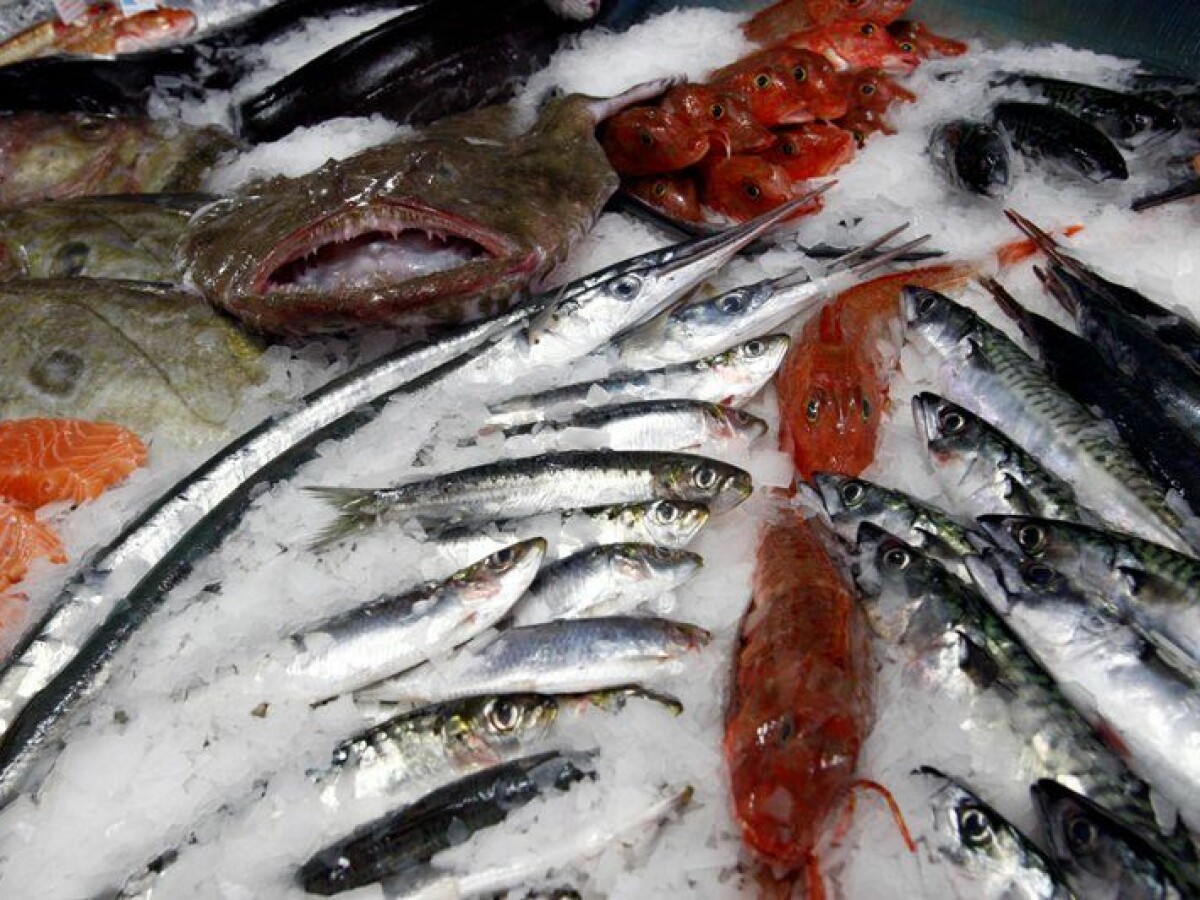 Can reheated fish make you sick?