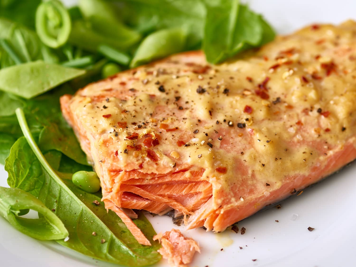 Can salmon be cooked from frozen?