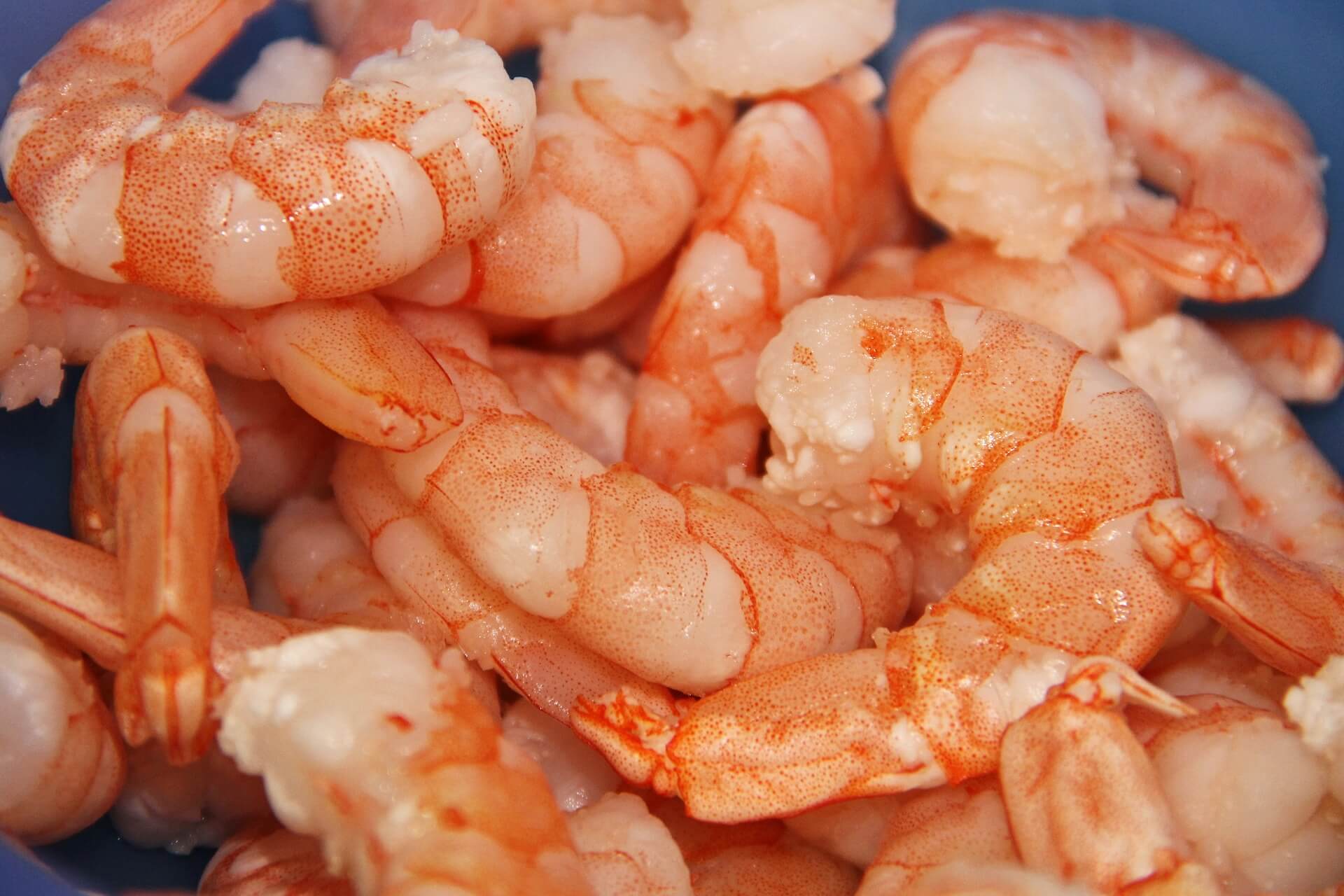 Can shrimp be substituted for prawns?