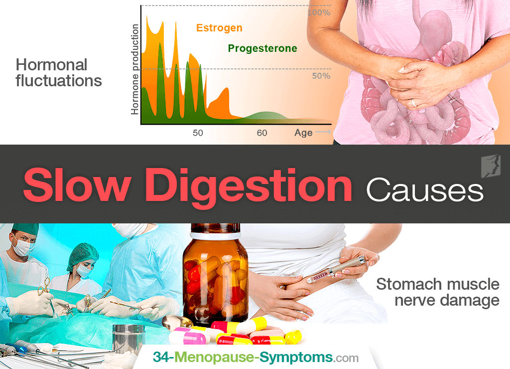 Can slow digestion be fixed?