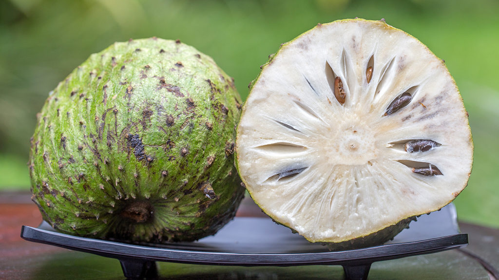 Can soursop fight cancer?