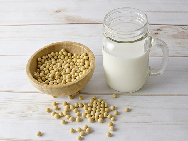 Can soy help you get pregnant?