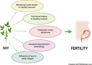 Can soy isoflavones reduce estrogen in premenopausal women?